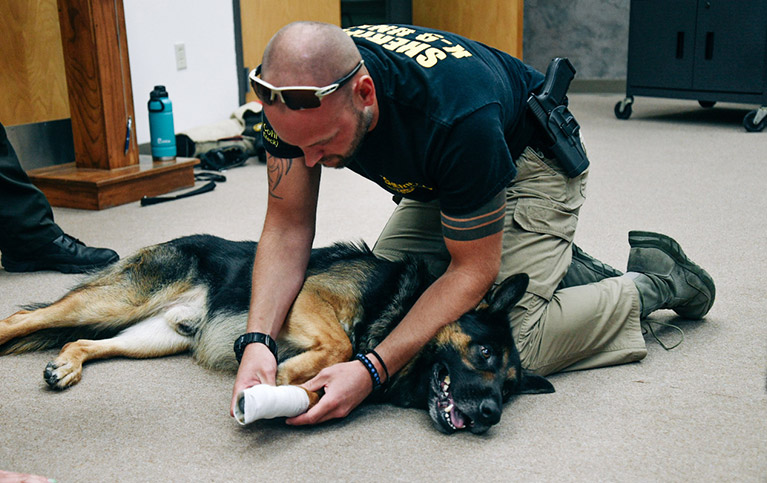 Operational K9 Medical Team of Wisconsin